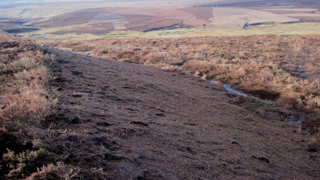 Re-peated glory | Yorkshire Peat Partnership