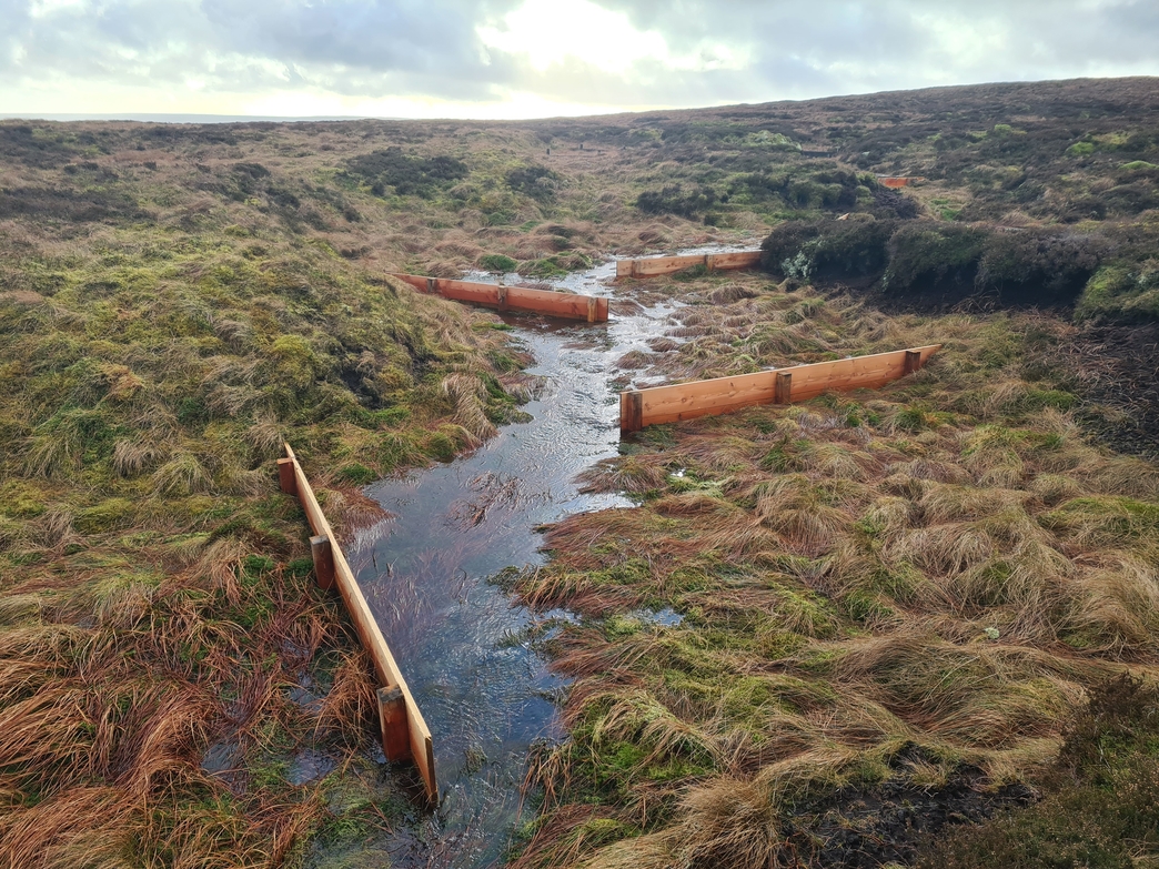 Nature for climate funding achieves peatlands successes | Yorkshire ...
