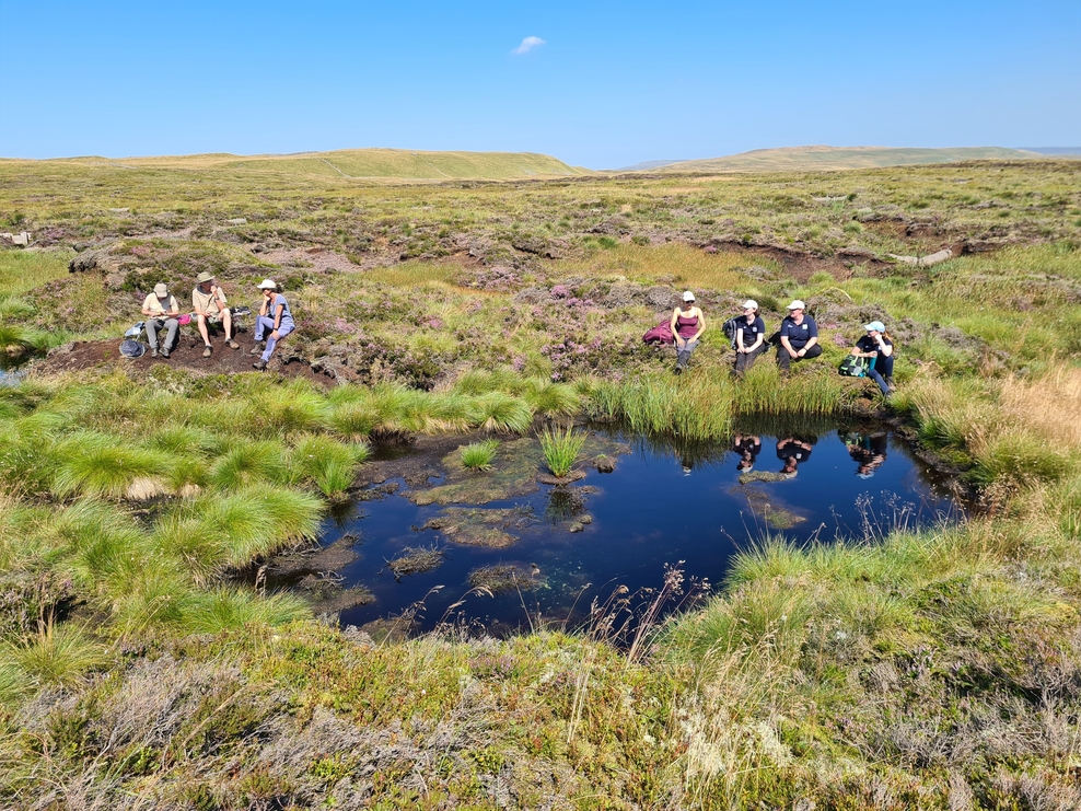 Peat Project Intern: New to the Bog Life. | Yorkshire Peat Partnership