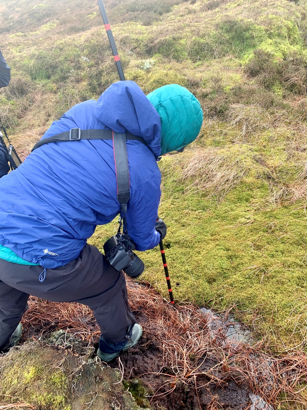 Nature for climate funding achieves peatlands successes | Yorkshire ...