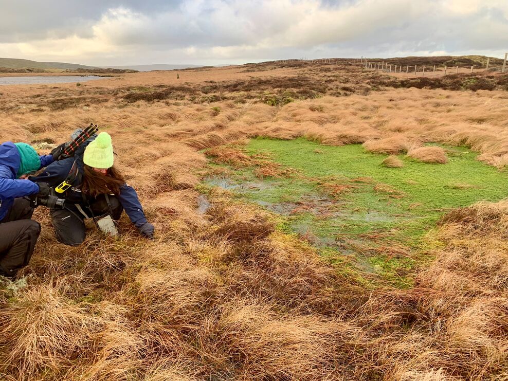 Nature for climate funding achieves peatlands successes | Yorkshire ...