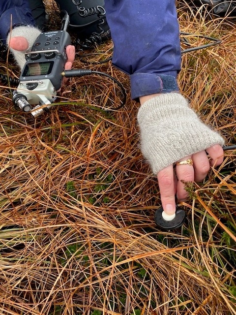ACE Bogs exhibition - Sarah Smout | Yorkshire Peat Partnership