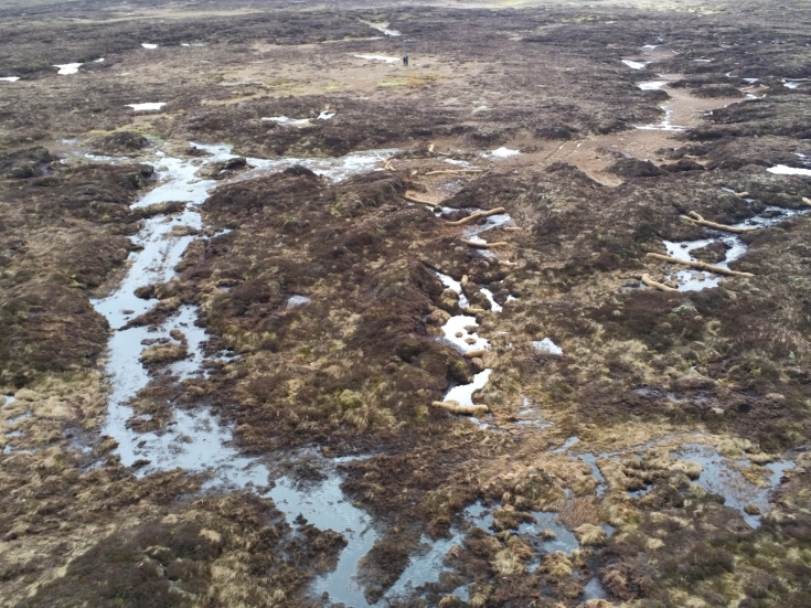 Why restore peatlands? | Yorkshire Peat Partnership