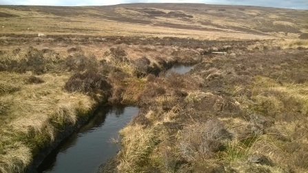 Our peatlands | Yorkshire Peat Patnership